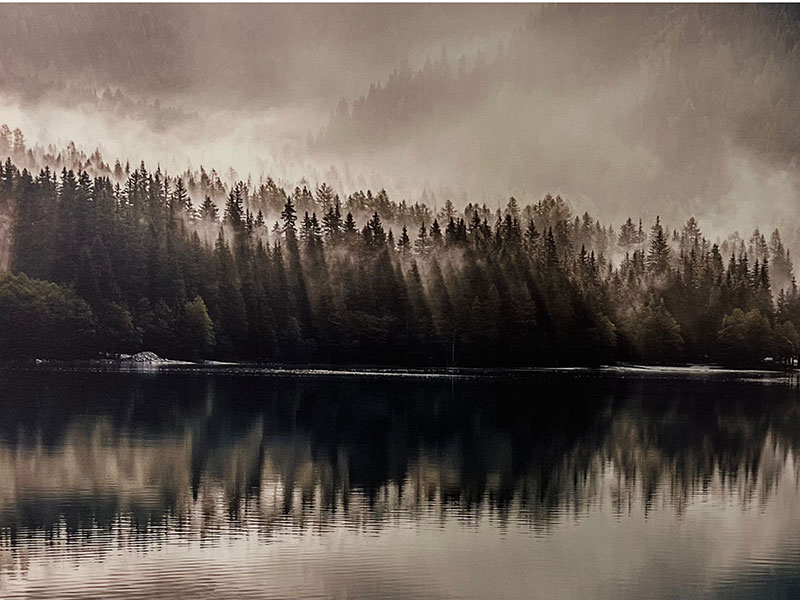 Forma Ideale: Slika REKA