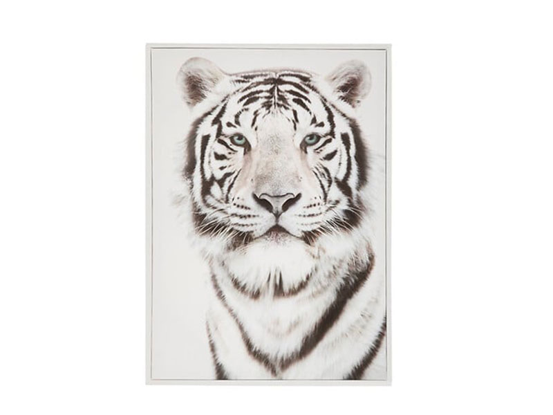 Forma Ideale: Slika FRAMED TIGER print canvas 50x70cm